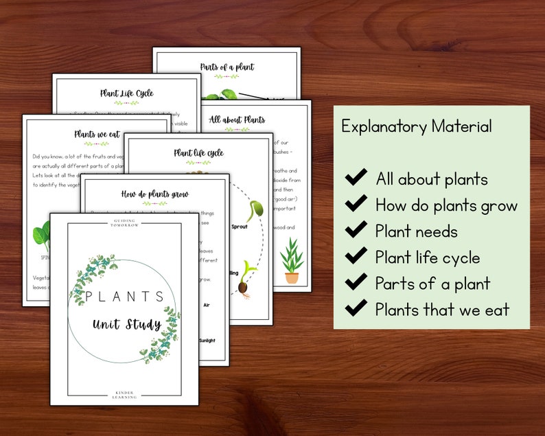 All About Plants Homeschool Unit Study Printable, Kindergarten ...