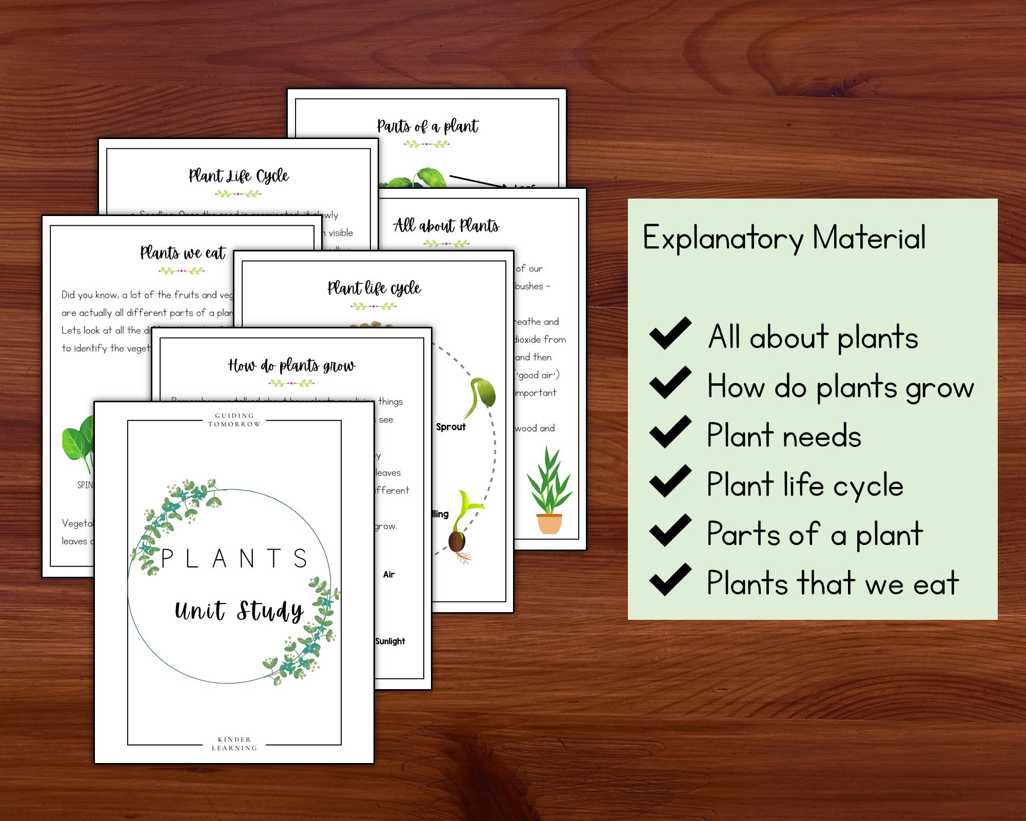 All About Plants Homeschool Unit Study Printable, Kindergarten ...
