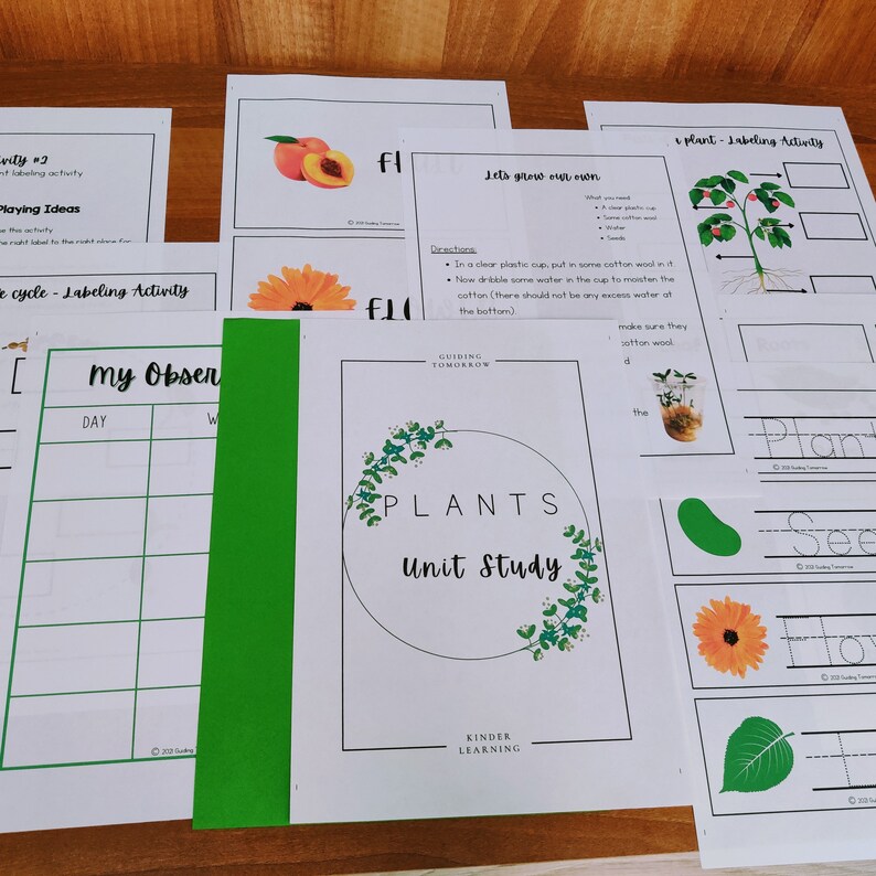 All About Plants Homeschool Unit Study Printable, Kindergarten ...