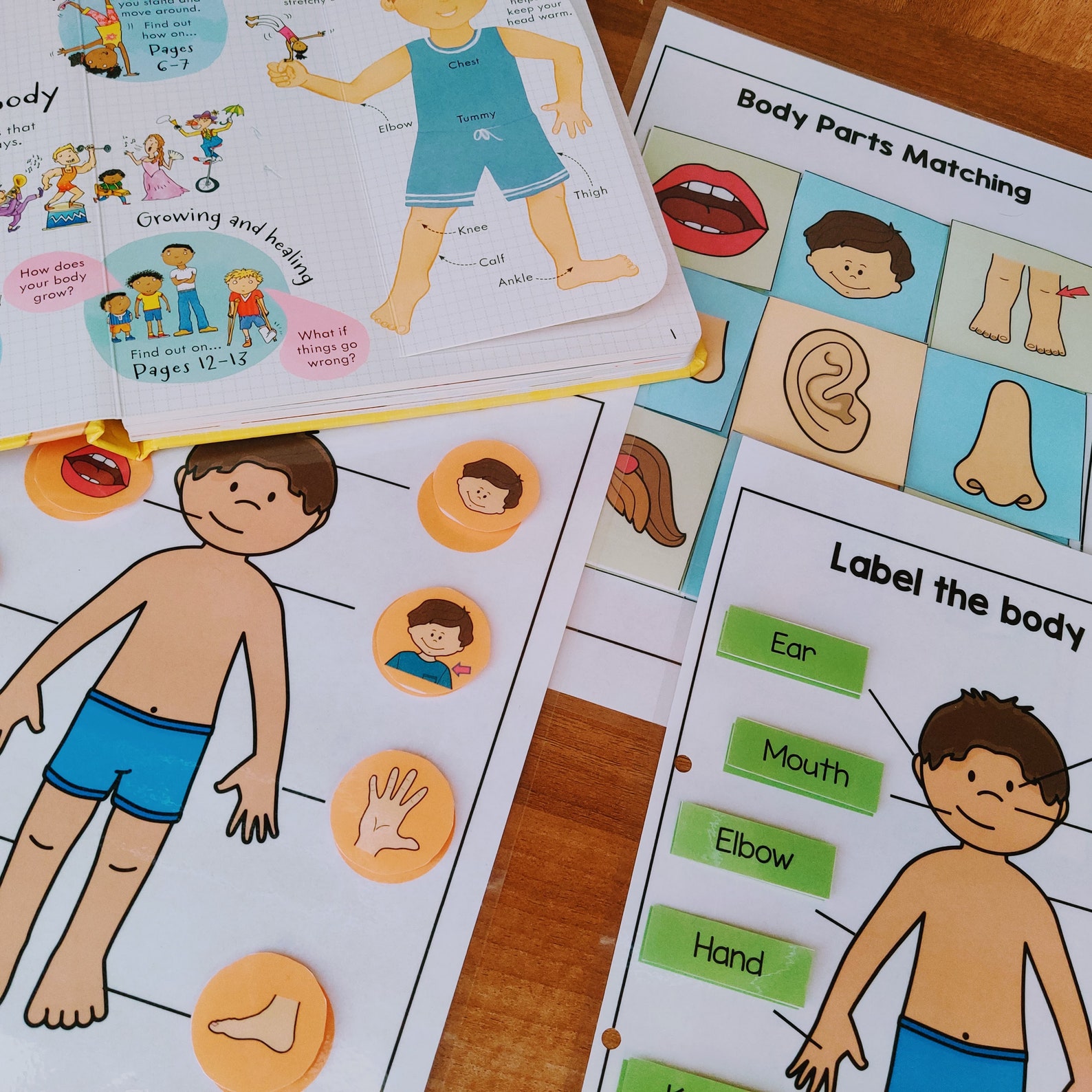 Body Parts Printable Activity, Human Body Busy Book, Body Parts ...