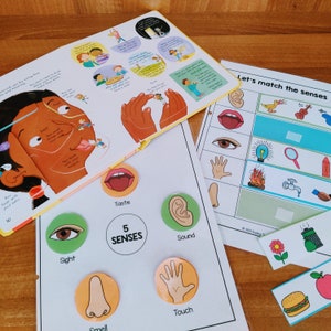 Five Senses Sorting Activity Worksheet Printable, 5 Senses Activity ...