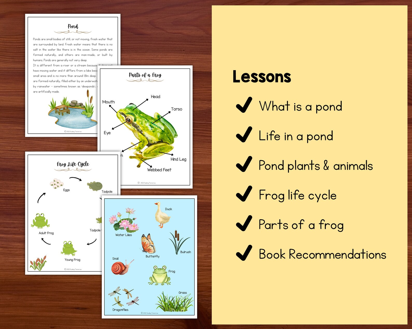 Kindergarten Homeschool Curriculum Pond Life Unit Science Activity ...