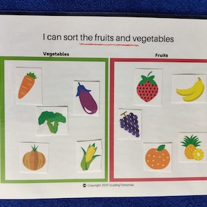 Toddler Sorting Activity, Toddler Busy Book Printable, Preschool ...