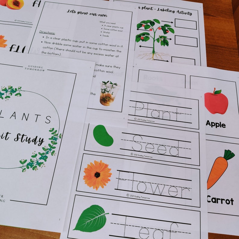All About Plants Homeschool Unit Study Printable, Kindergarten ...