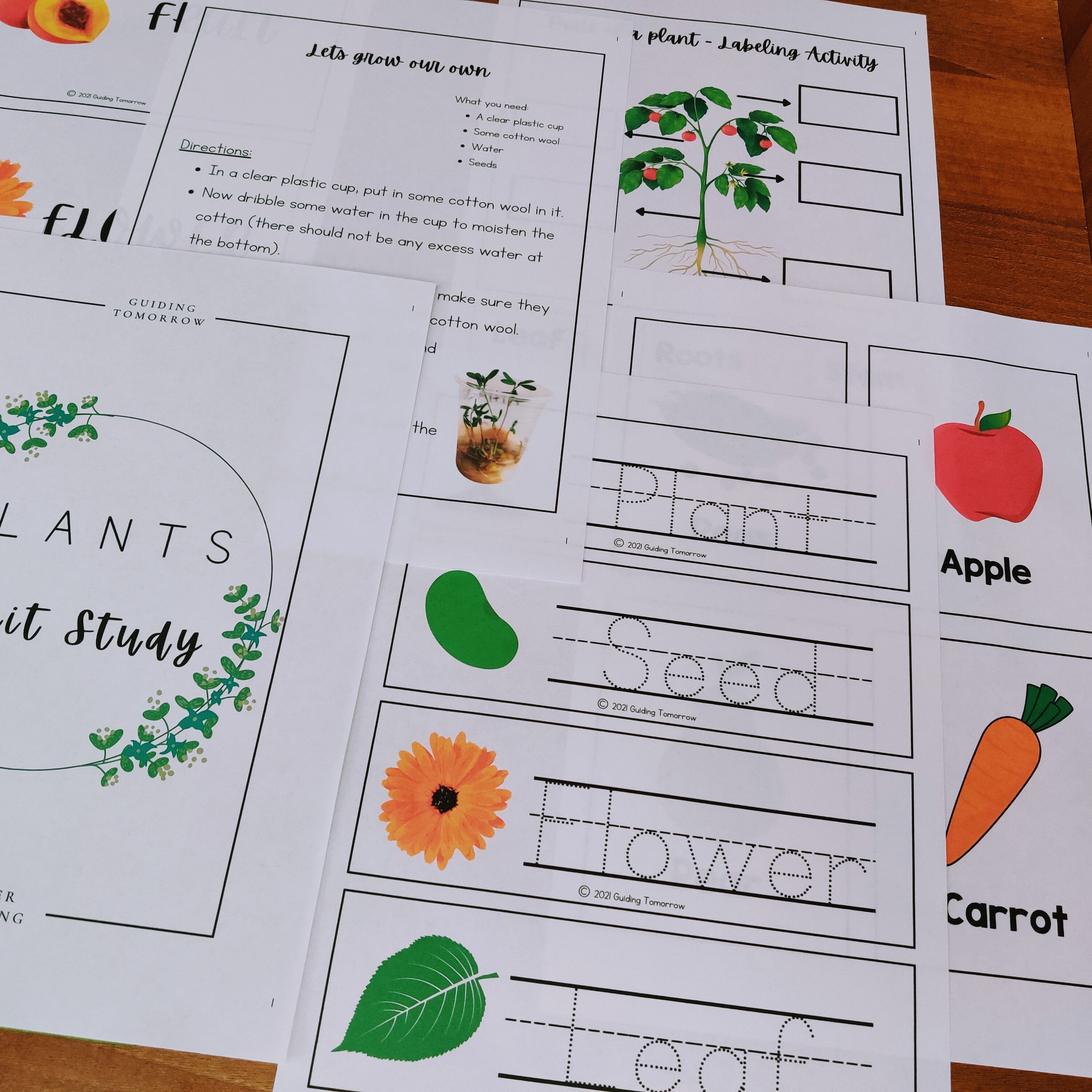 All About Plants Homeschool Unit Study Printable, Kindergarten ...
