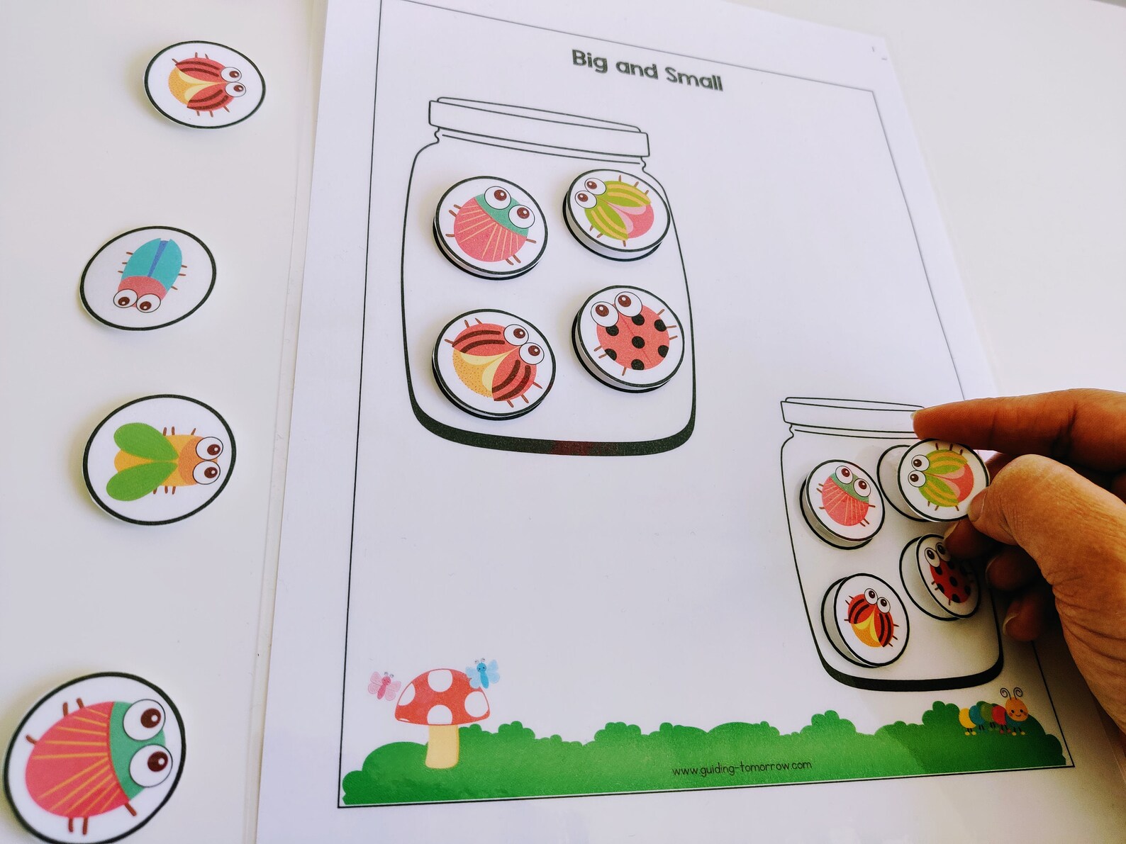 Sorting Practice for Toddler, Printable Toddler Preschool Worksheet ...