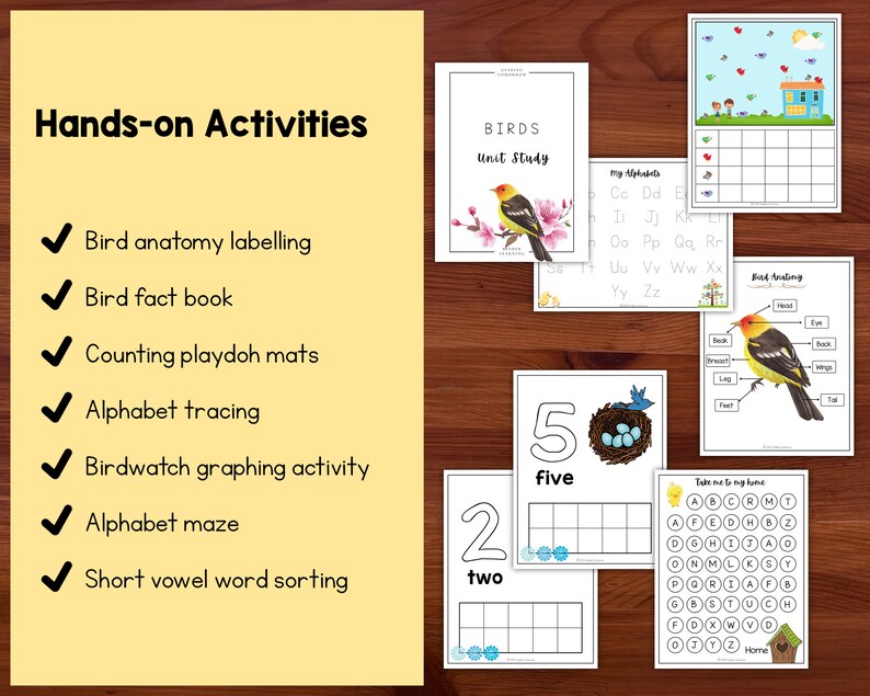 Kindergarten Curriculum - All About Birds Homeschool Lesson, Anatomy of ...