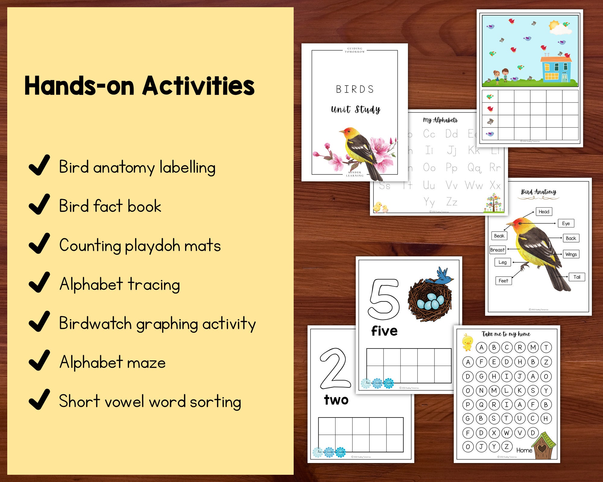 Kindergarten Curriculum - All About Birds Homeschool Lesson, Anatomy of ...