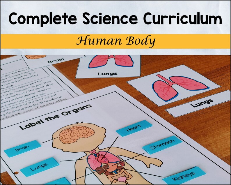 Kindergarten Homeschool Curriculum First Grade Homeschool Science Unit ...