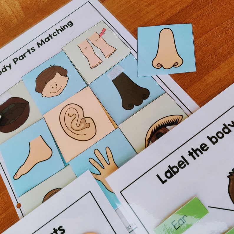 Body Parts Printable Activity, Human Body Busy Book, Body Parts ...