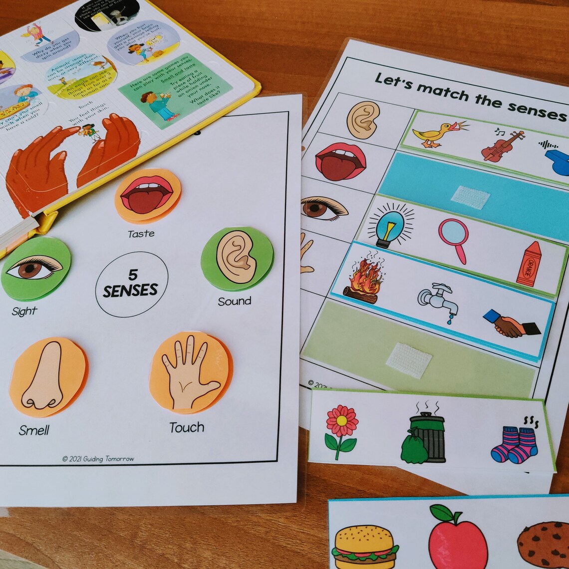 Five Senses Sorting Activity Worksheet Printable 5 Senses | Etsy