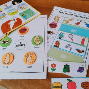 Five Senses Sorting Activity Worksheet Printable, 5 Senses Activity ...