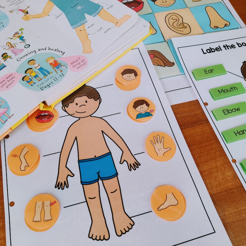 Body Parts Printable Activity, Human Body Busy Book, Body Parts ...