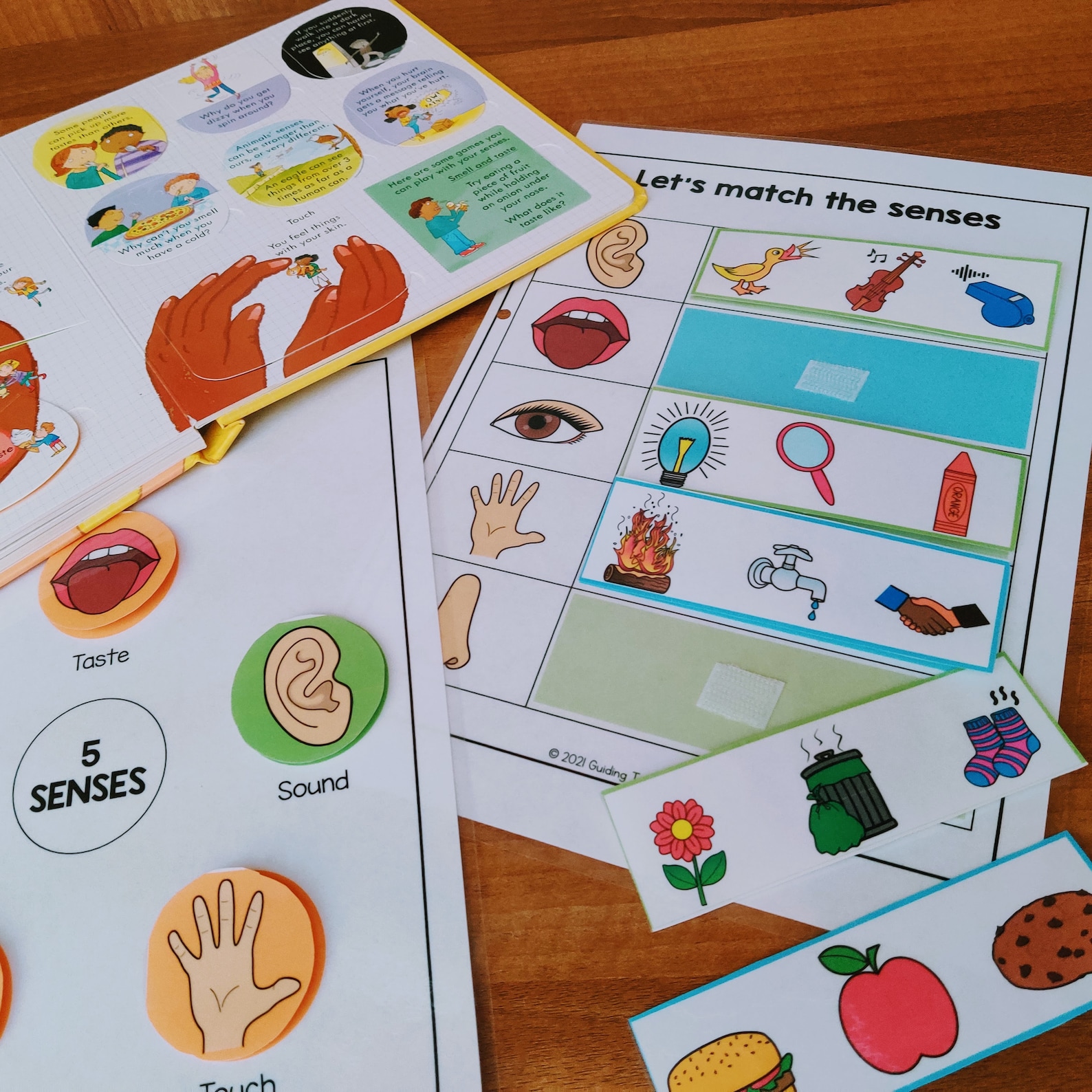 Five Senses Sorting Activity Worksheet Printable, 5 Senses Activity ...