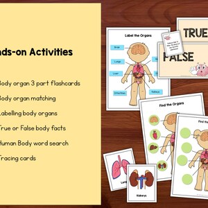 Human Body Anatomy Unit, Body Organs and Body Systems, Homeschool ...