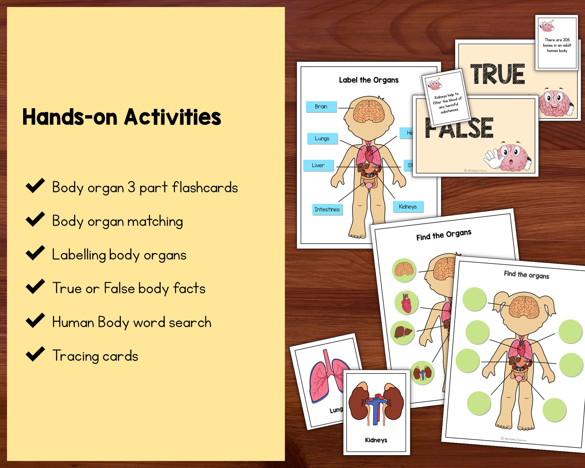 Human Body Anatomy Unit, Body Organs and Body Systems, Homeschool ...