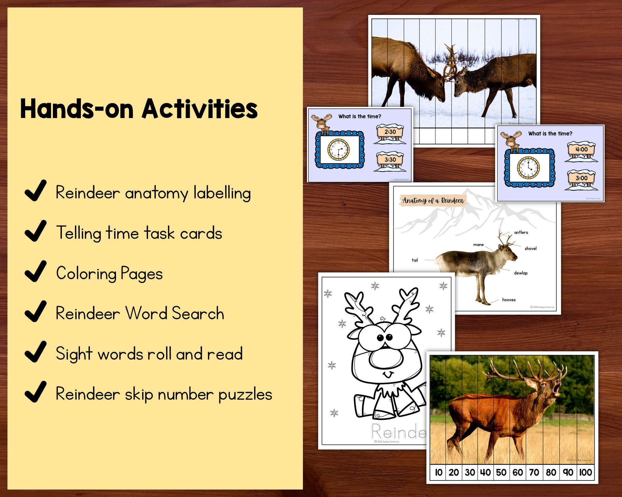 Reindeer Anatomy, Reindeer Lifecycle, Reindeer Unit, Reindeer Lesson ...