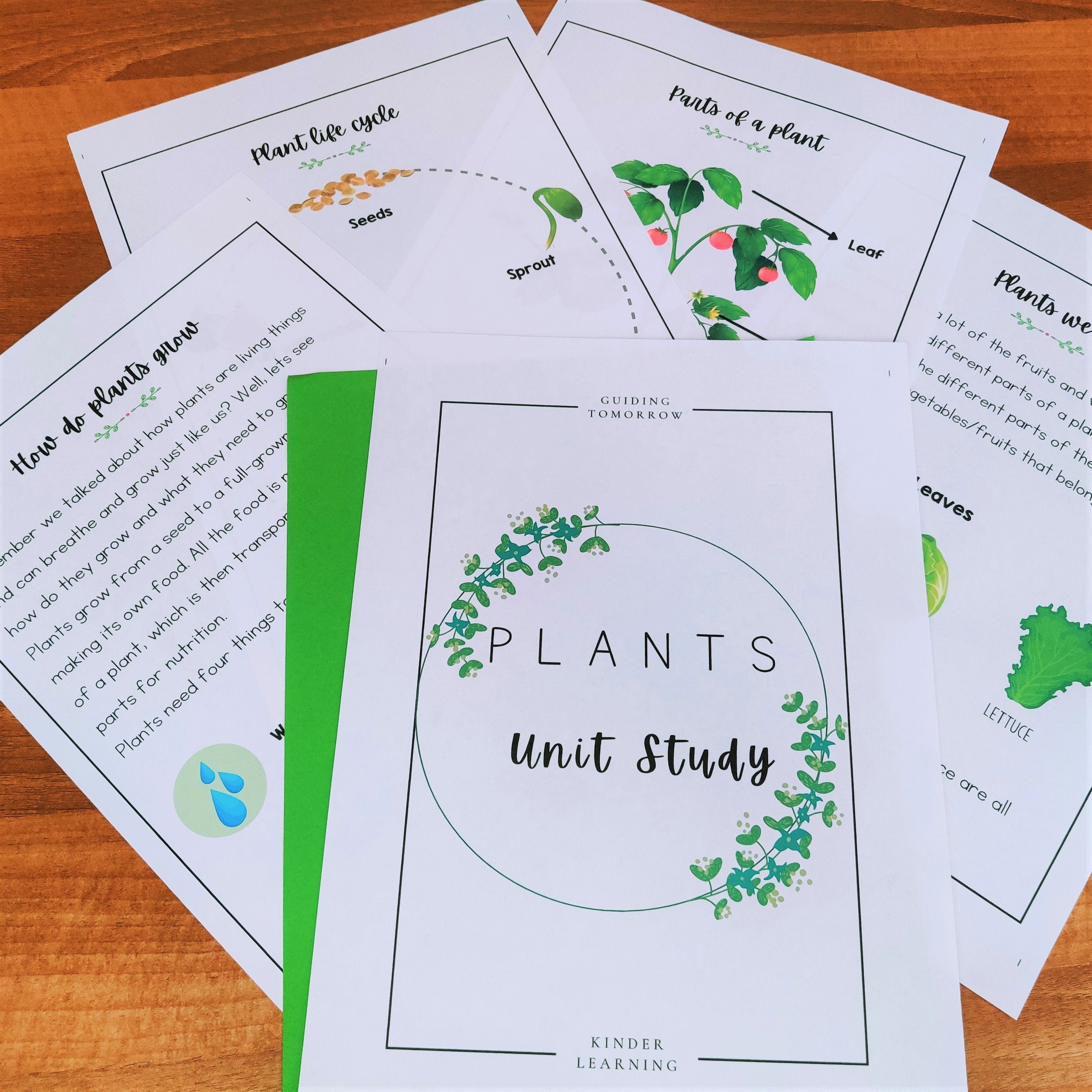 All About Plants Homeschool Unit Study Printable, Kindergarten ...