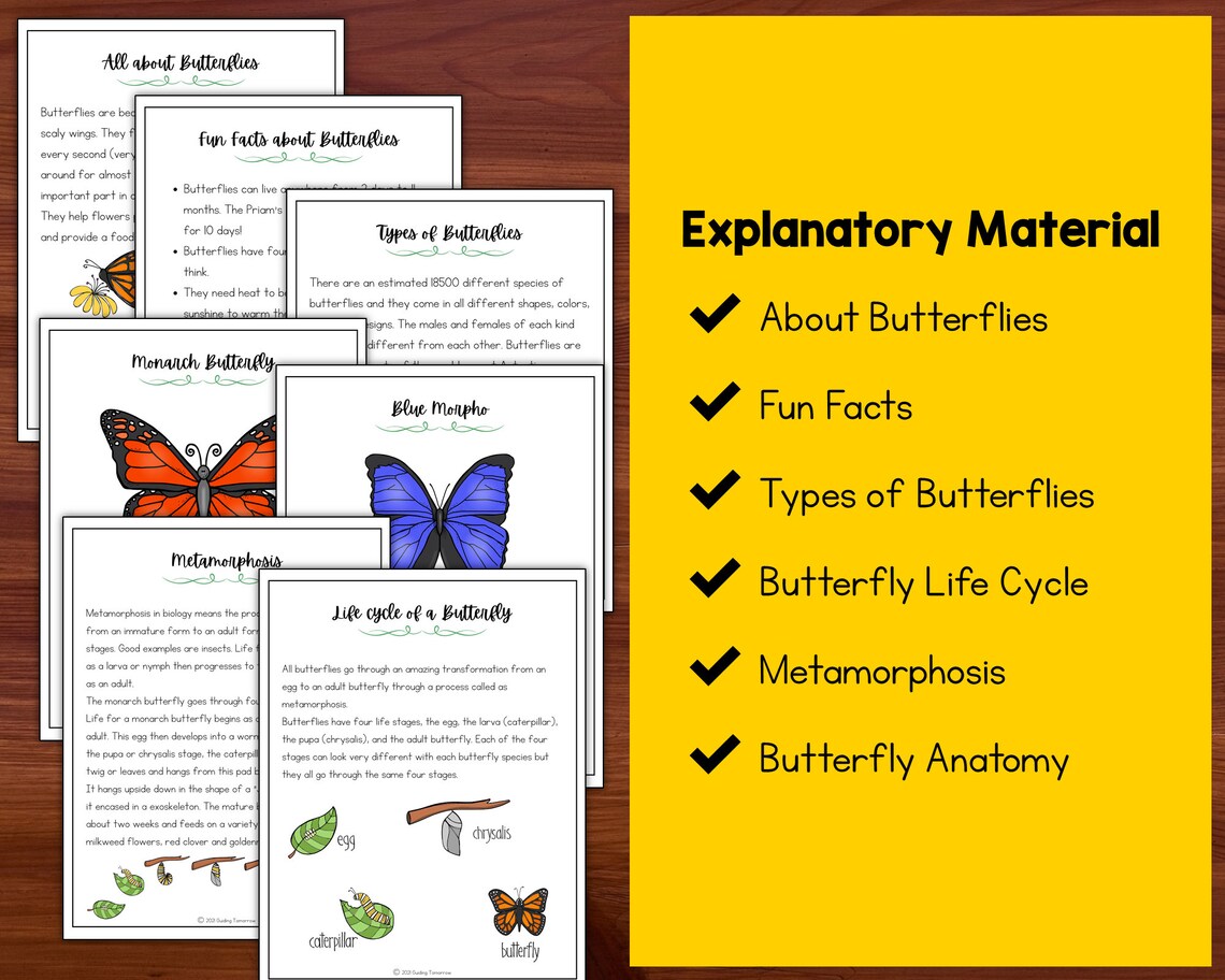 Butterfly Science and Nature Unit Study, Homeschool Learning Curriculum for Kindergarten, First ...