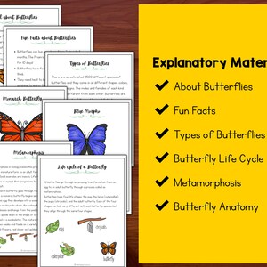 Butterfly Science and Nature Unit Study, Homeschool Learning Curriculum ...