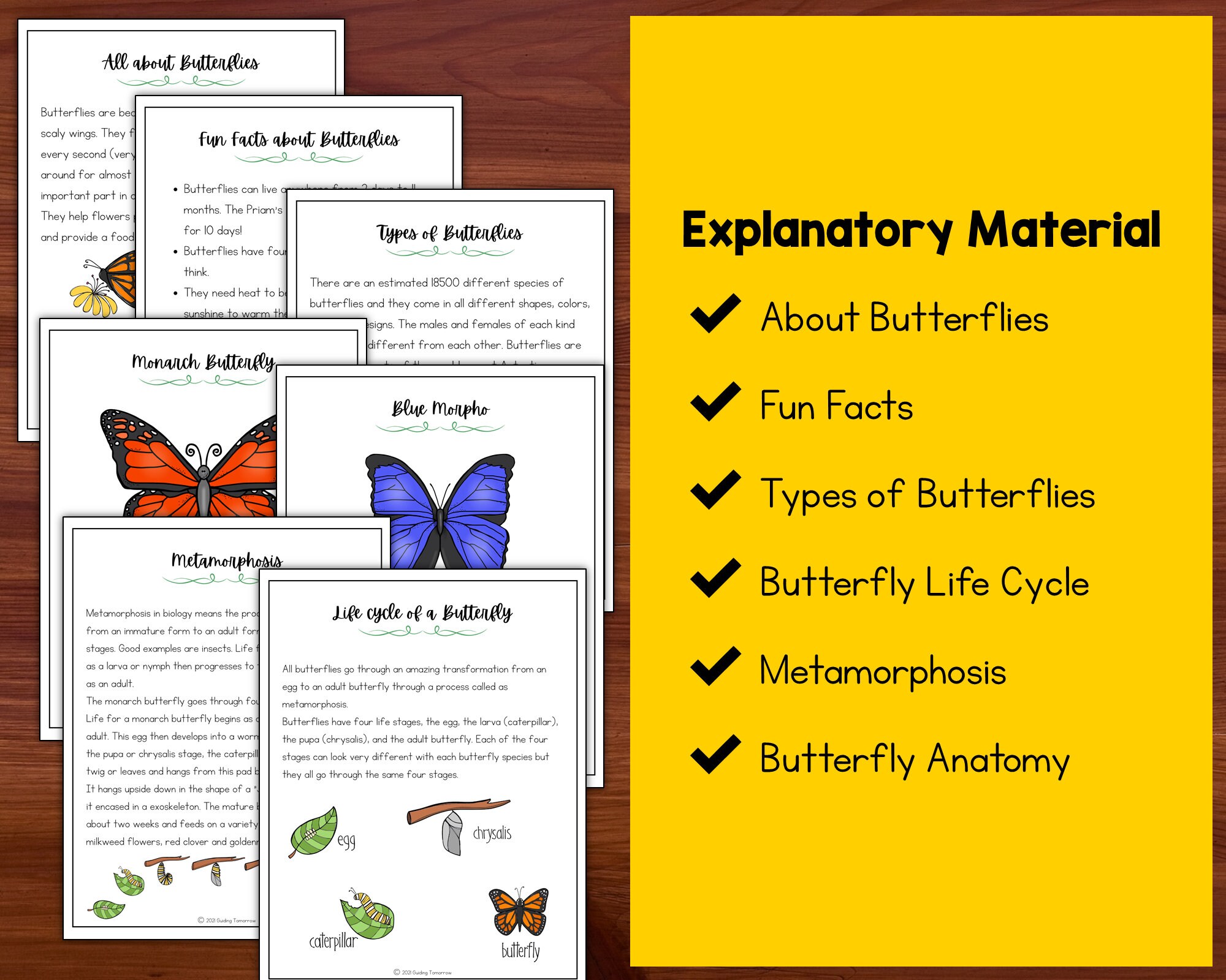 Butterfly Science and Nature Unit Study, Homeschool Learning Curriculum ...