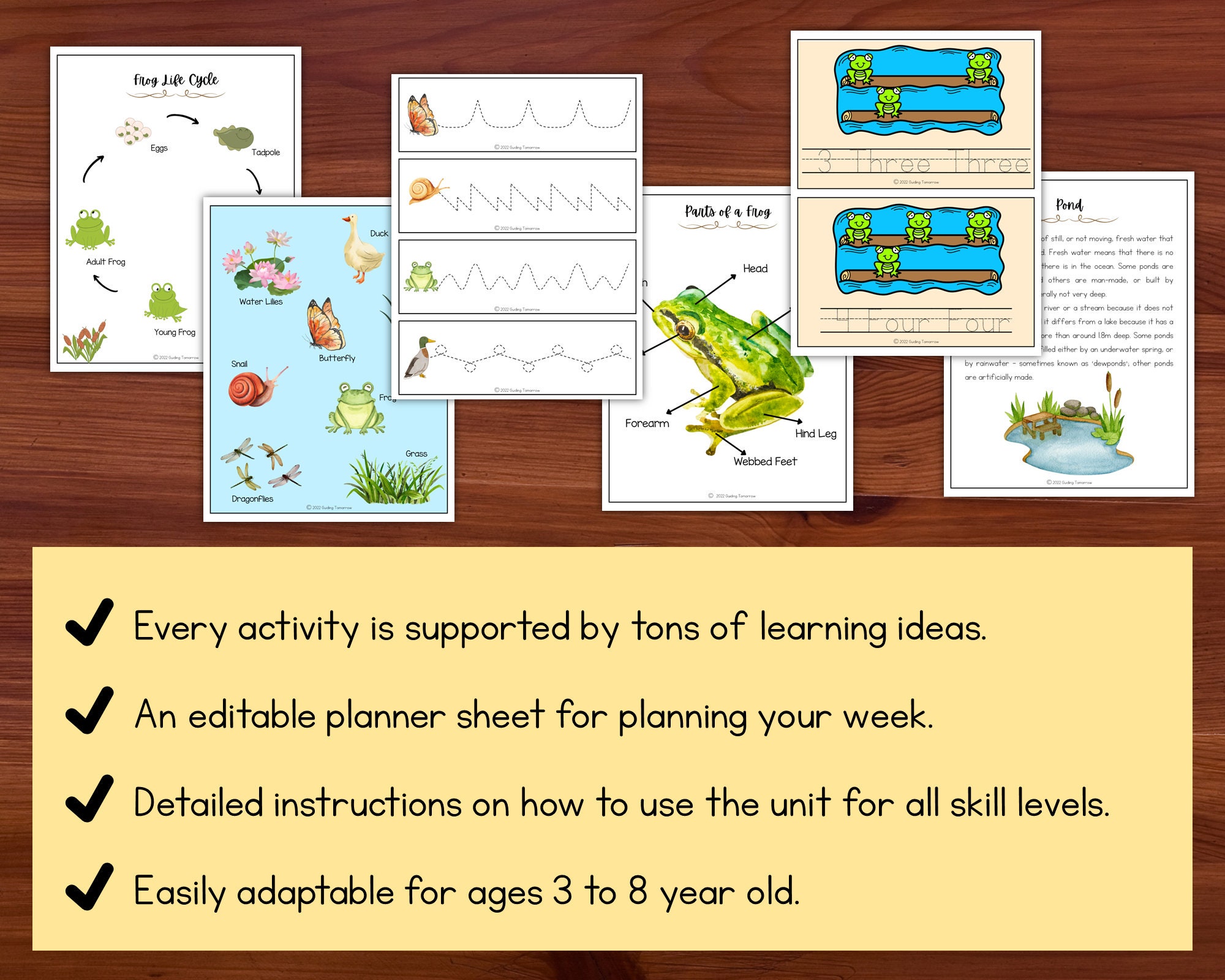 Kindergarten Homeschool Curriculum Pond Life Unit Science Activity ...