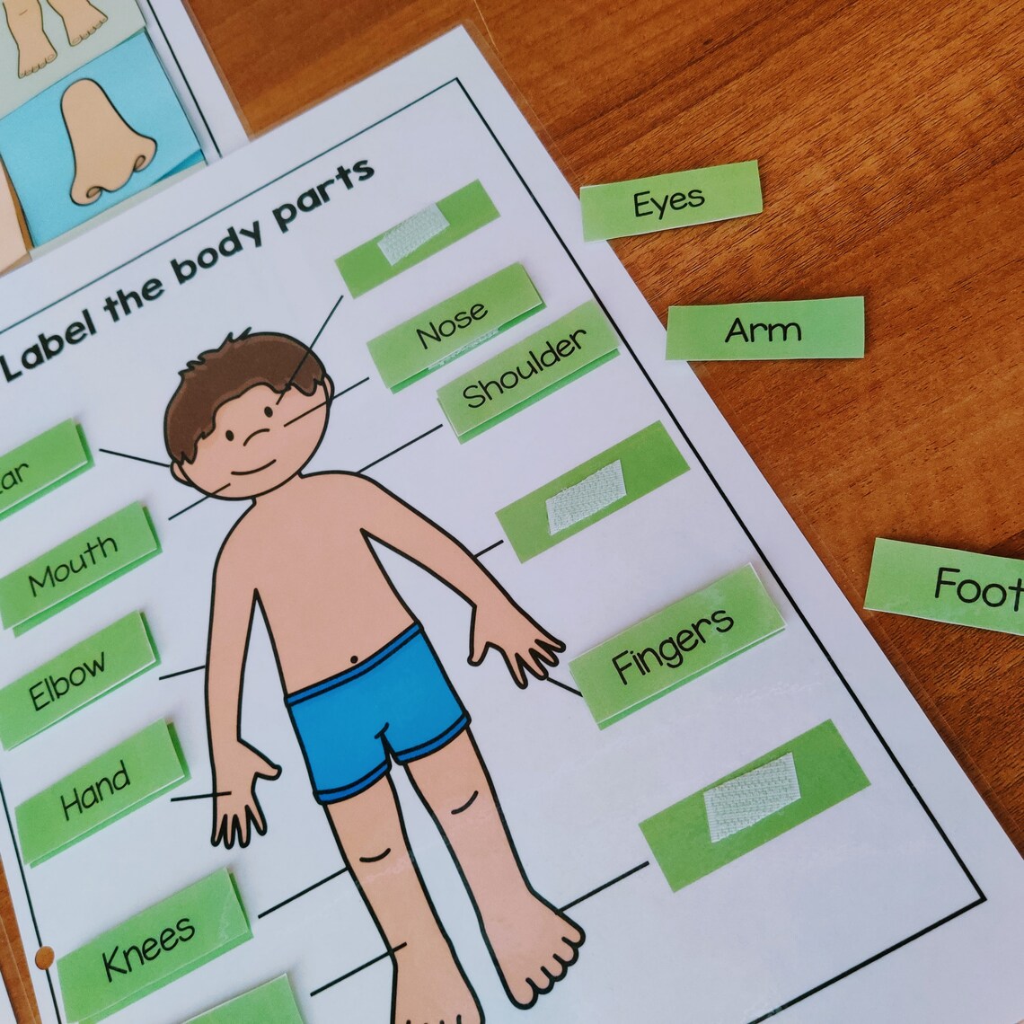 Body Parts Printable Activity, Human Body Busy Book, Body Parts ...