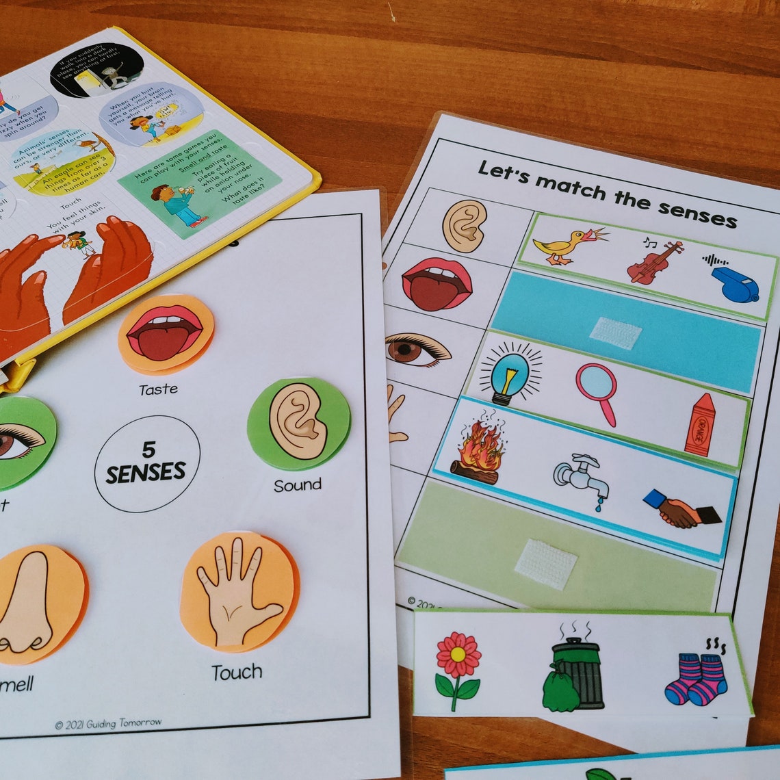 Five Senses Sorting Activity Worksheet Printable, 5 Senses Activity ...