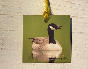 Canadian Geese Goose Tags Round Paper Gift Tags Set of 10 - Etsy