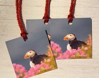 Puffin Round Gift Tags Set of 10 - Etsy