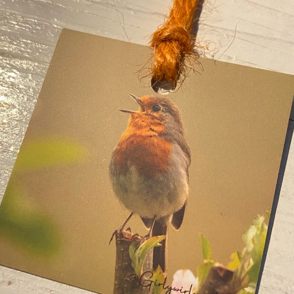 Robin Gifts - 60+ Gift Ideas for 2025