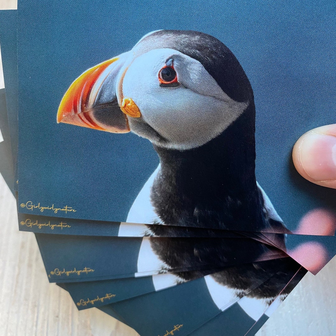 Puffin Stickers A7 Paper Sticker Pack - Etsy New Zealand