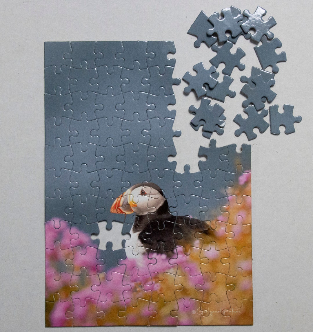 Puffin Photo Puzzle Set – Jigsaw Puzzle, Bird Art - Etsy