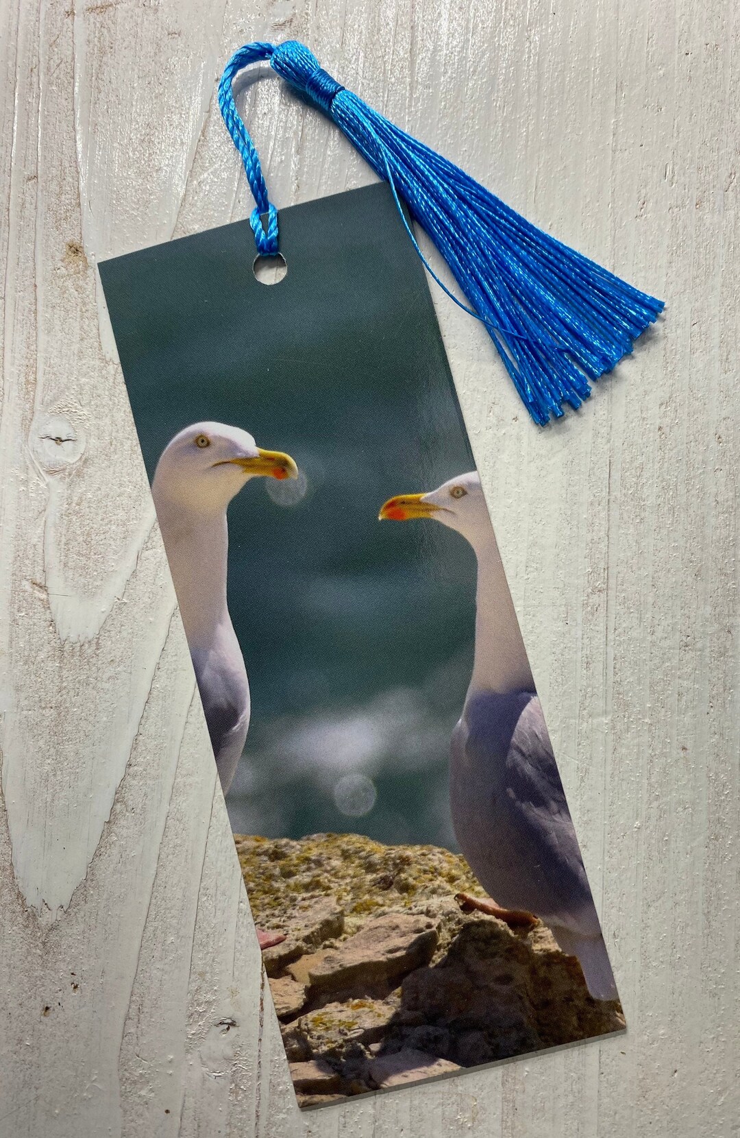 Herring Gull Bookmark Seagull - Etsy