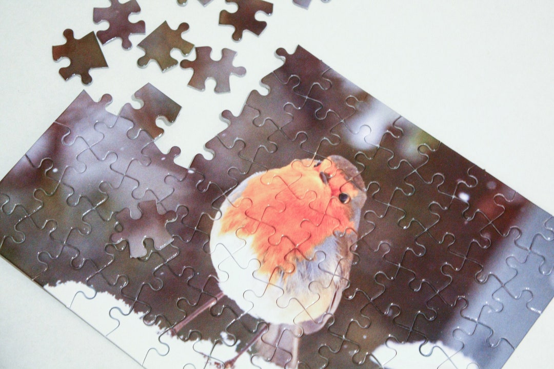 Robin in Snow Puzzle Set Robin Puzzle - Etsy