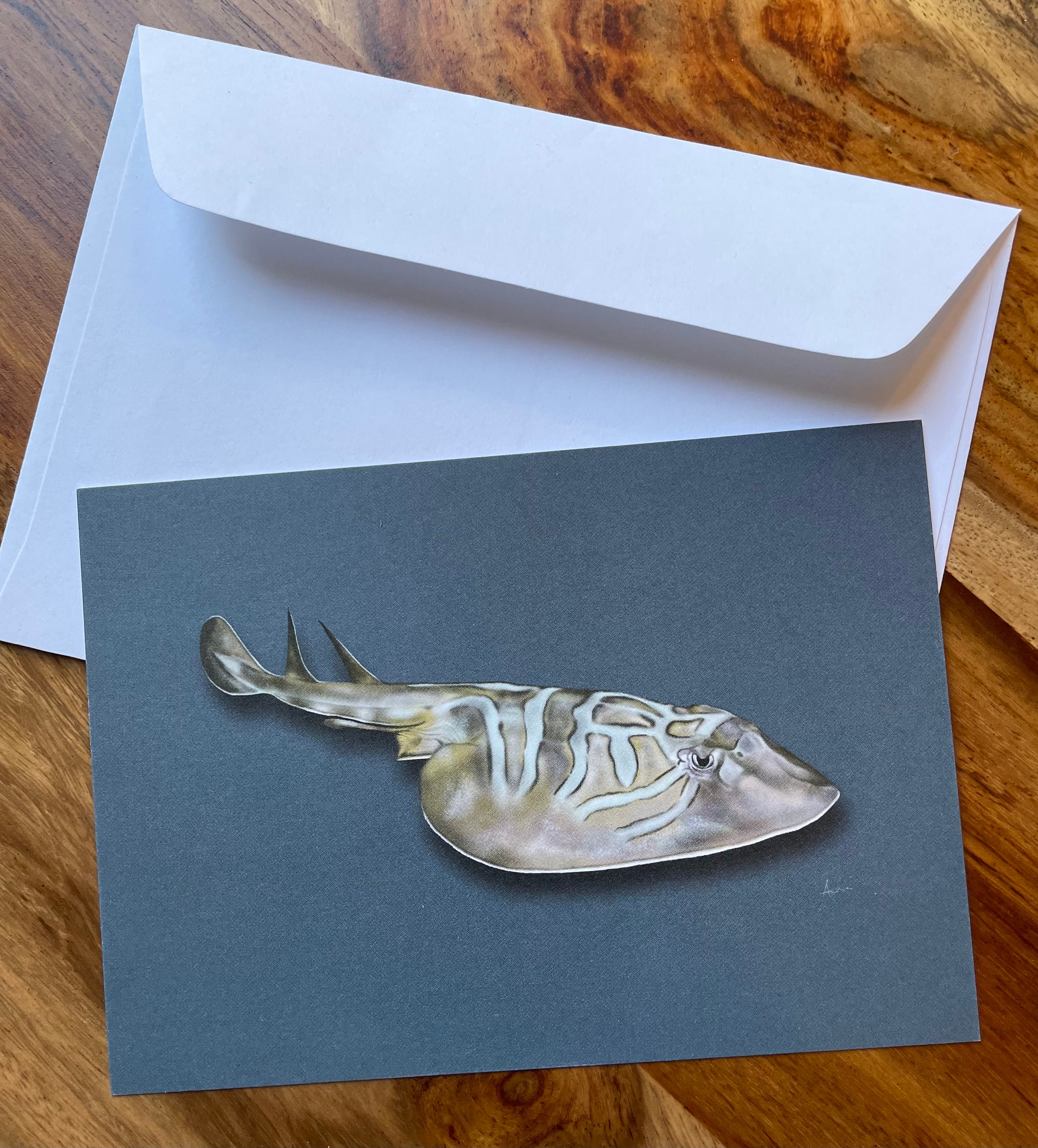 Banjo Shark or Eastern Fiddler Ray Postcard Print - Etsy Australia