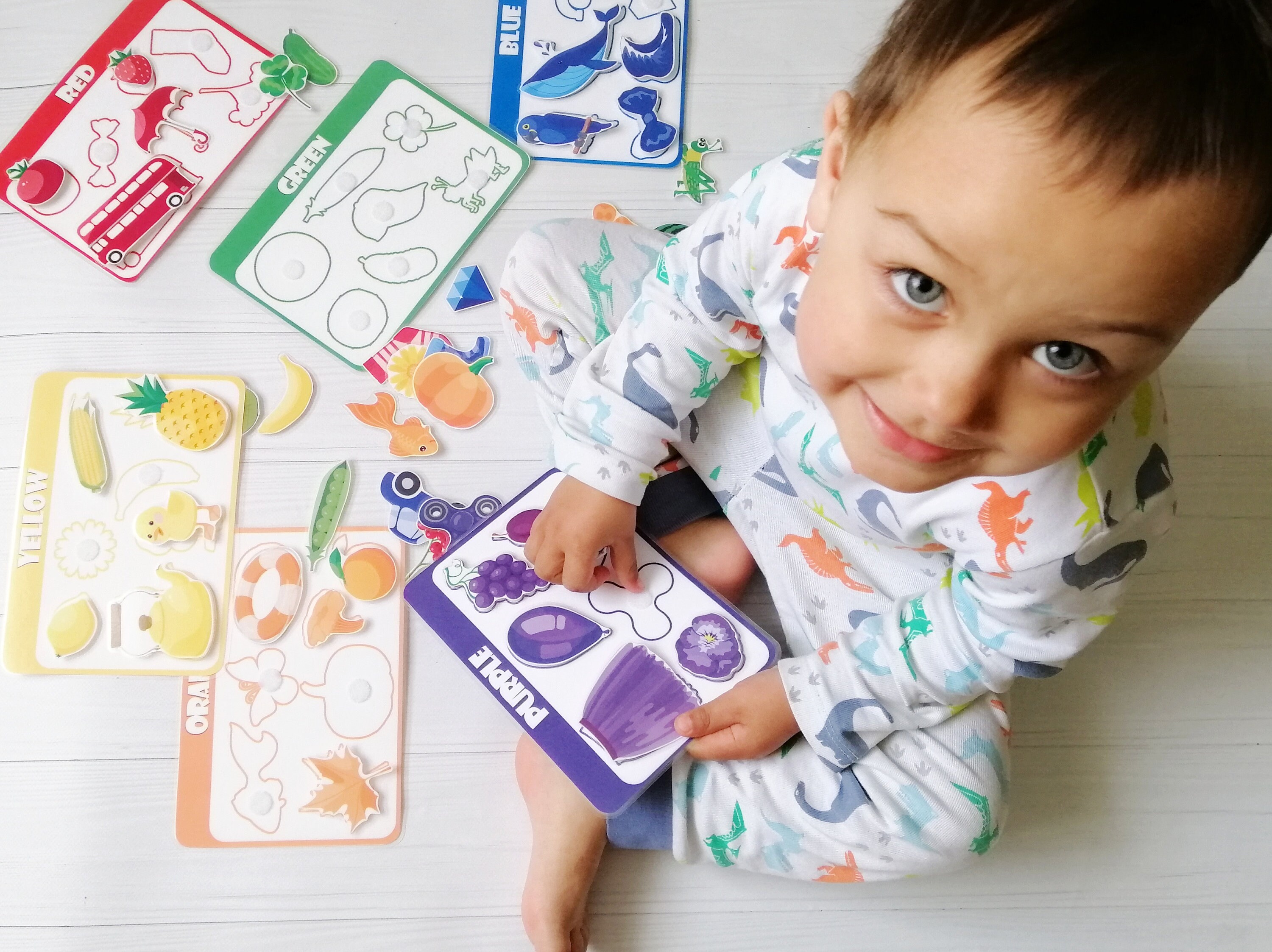 Color Matching Activity Homeschool Printable Learning Tools | Etsy Canada