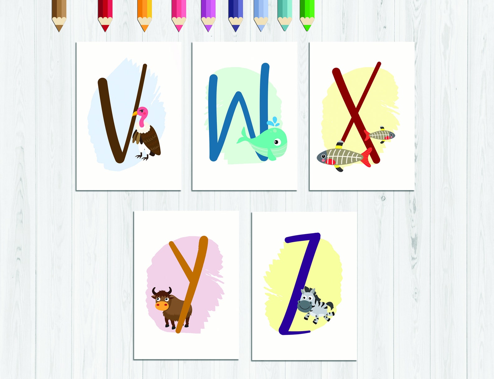 Animal Alphabet Flash Cards Homeschool Activities ABC | Etsy