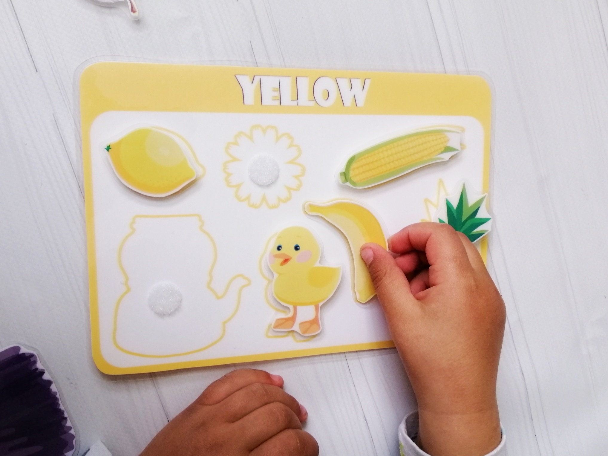 Color Matching Activity Homeschool Printable Learning Tools | Etsy Canada