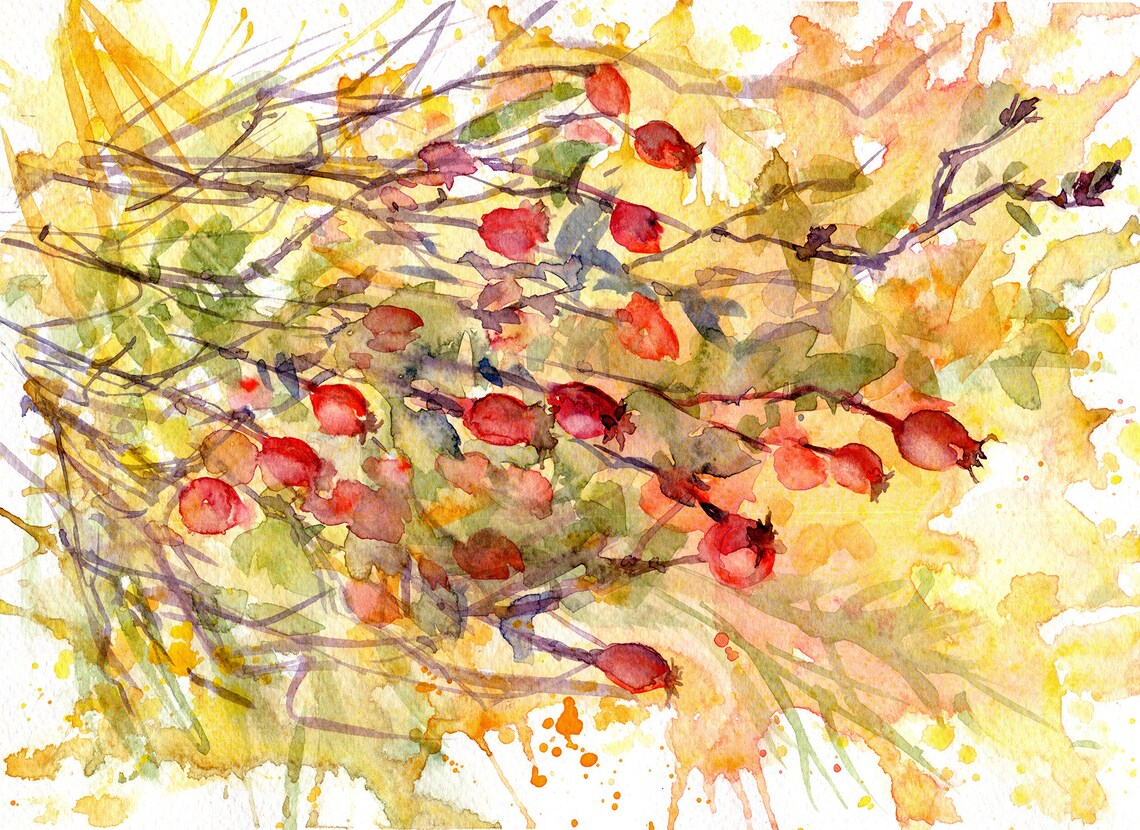Abstract Red Berries Watercolor Painting Rosehip Berry Artwork Original ...