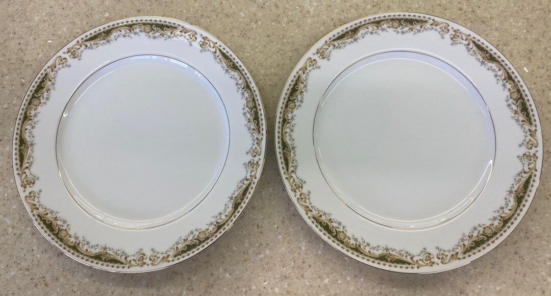 Dinner Plates Queen Anne Signature Collection China Vintage (set of 2 ...