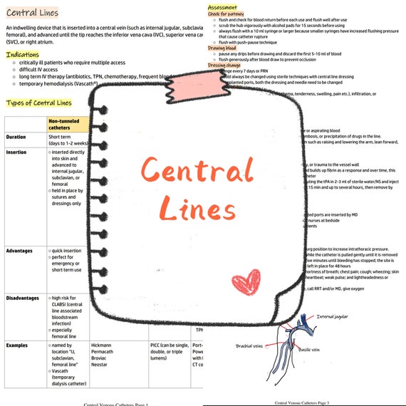 Central Lines Central Venous Catheters Nursing Notes Study | Etsy