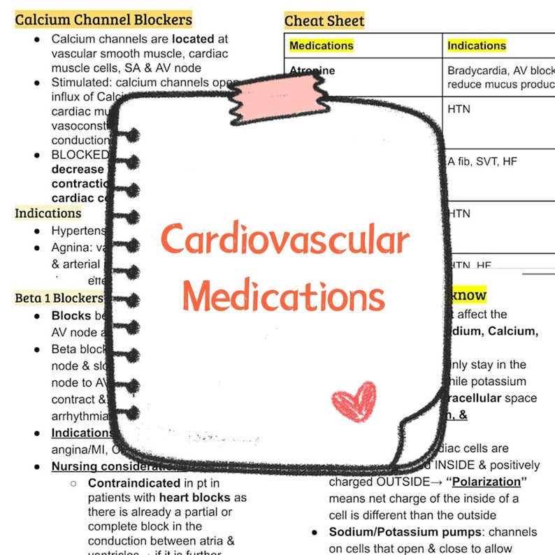Cardiac Medications Pharmacology Nursing Study Guide Notes - Etsy