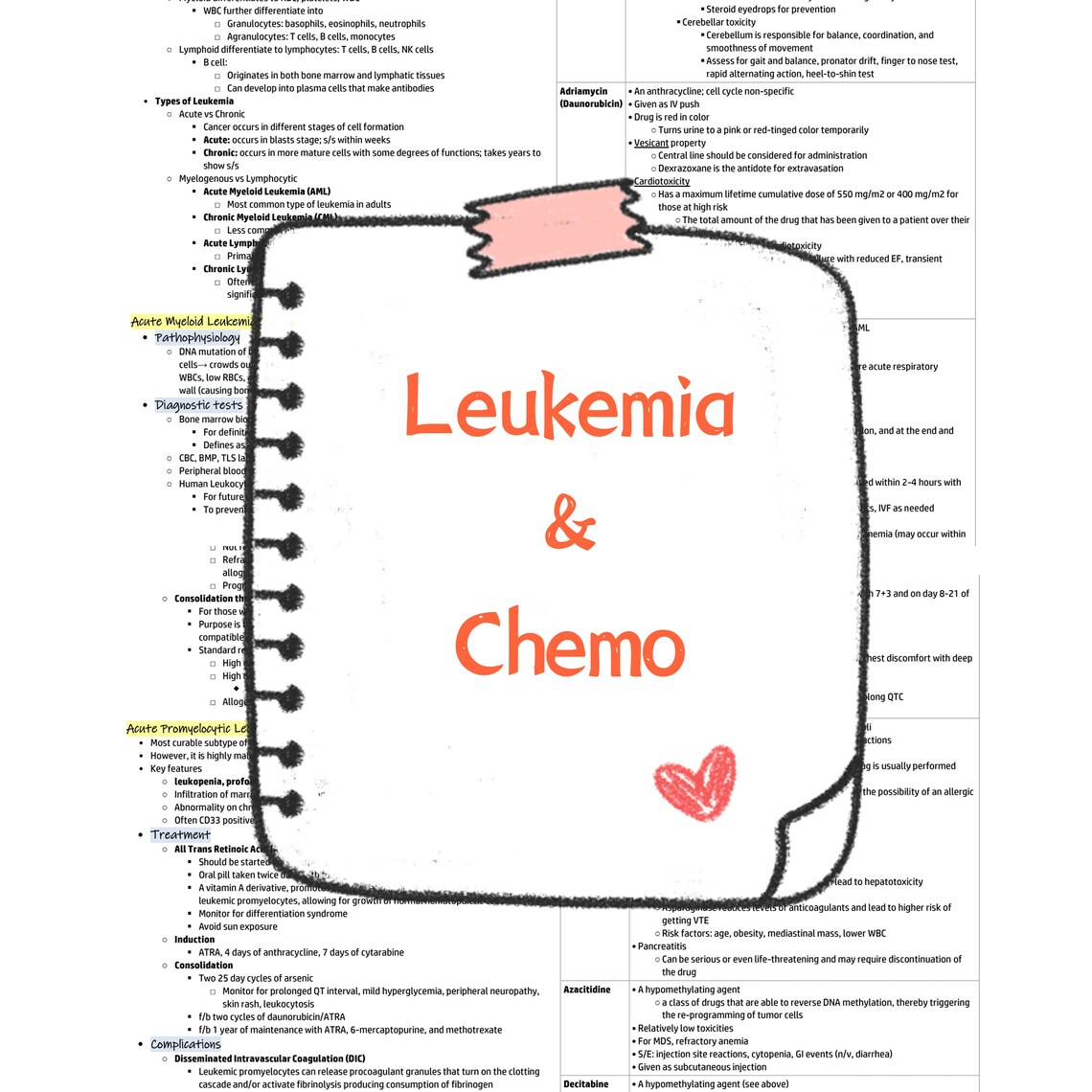 Leukemia for Oncology Nurses, Nursing Students, Acute Myeloid Leukemia - Etsy