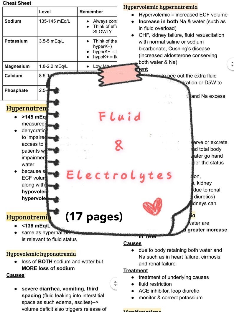 Electrolyte Imbalance Nursing Study Guide Notes with detailed | Etsy
