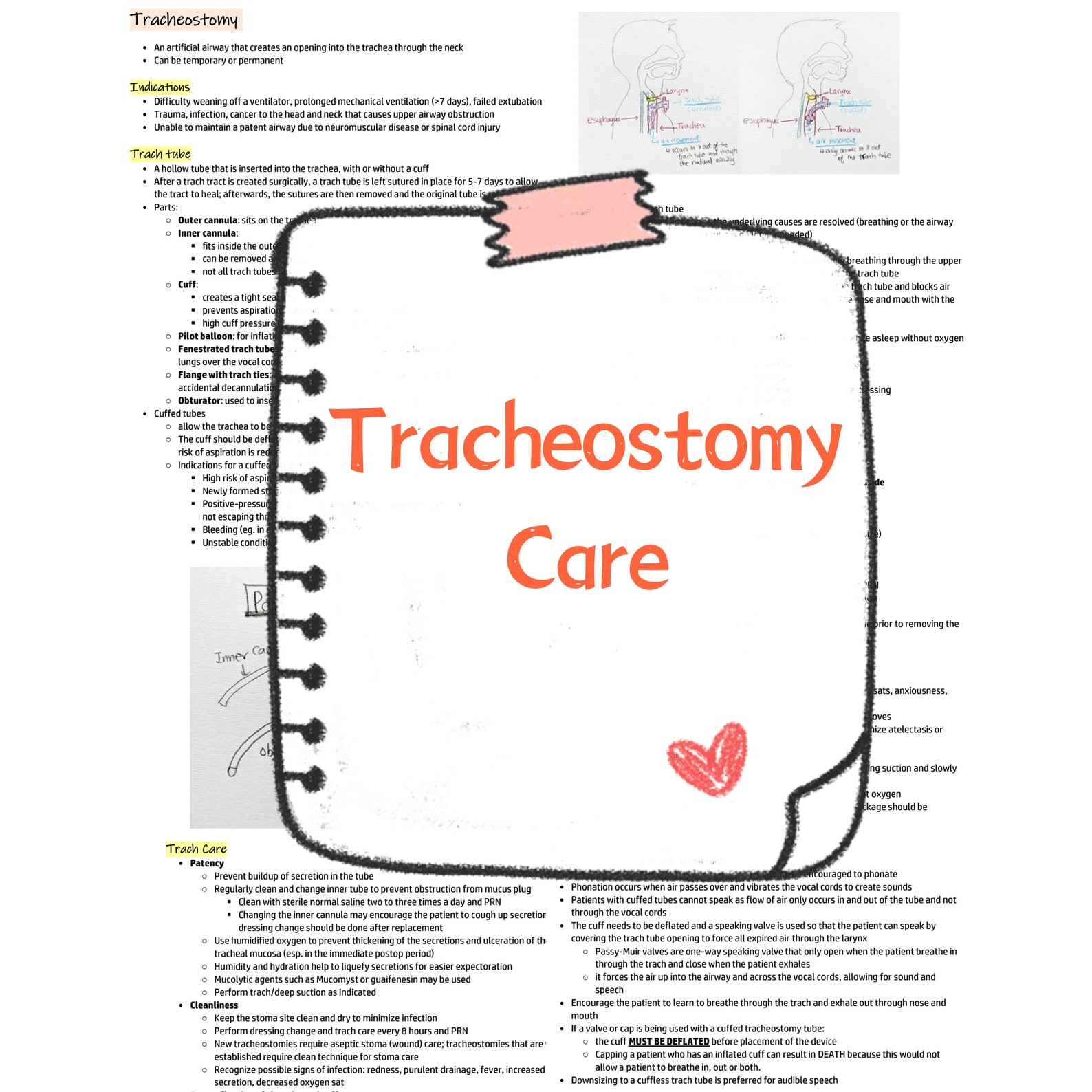 Tracheostomy Care, Trach Tube, Nursing Note, Study Guide - Etsy