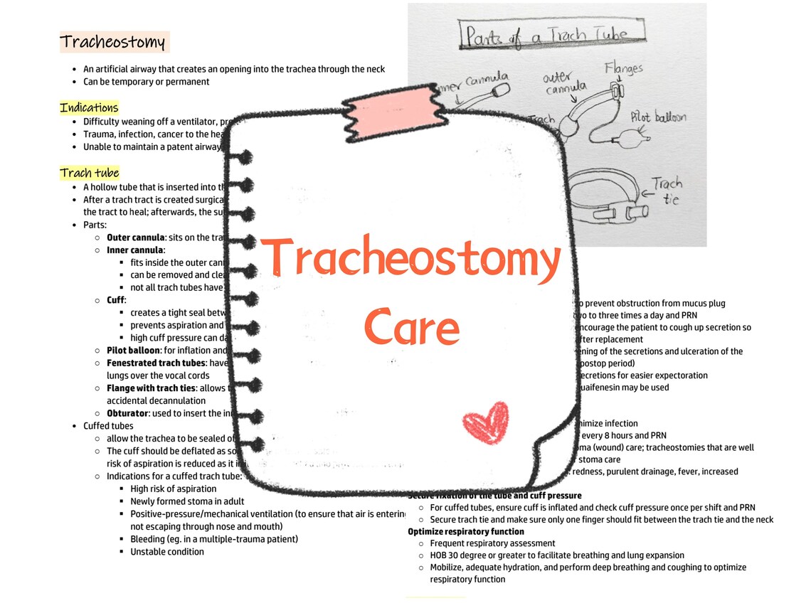 Tracheostomy Care Trach Tube Nursing Note Study Guide - Etsy