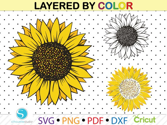 Sunflower Svg Sunflower Clipart Layered by Color Svg - Etsy