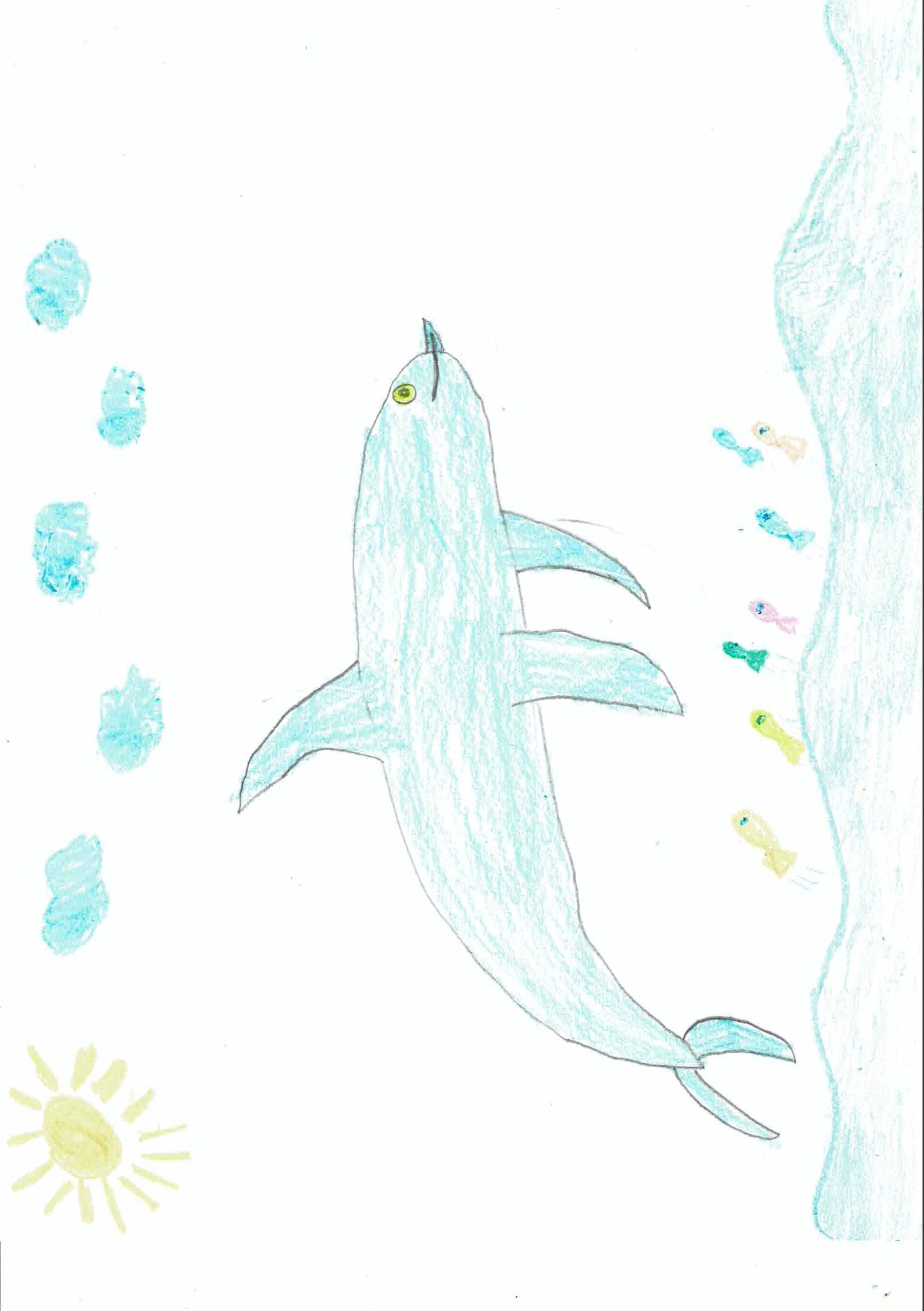 A4 Sea Animals Drawing - Etsy