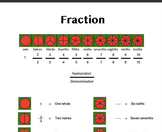 Fractions Halves Thirds Fourths